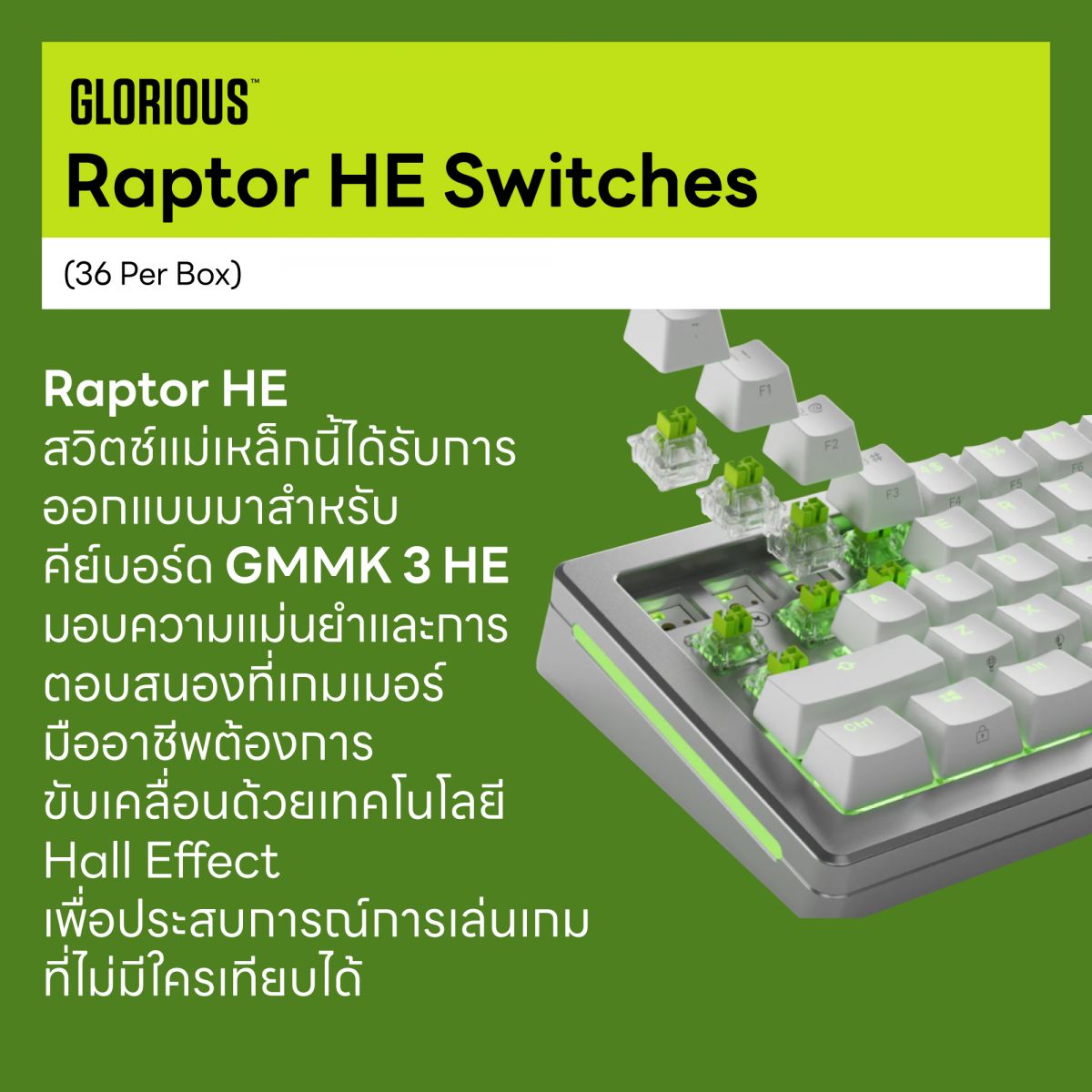 ขาย Glorious Raptor HE Switches - Clicky - Standard ราคา 1,950.00 บาท